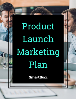 Product Launch Marketing Plan from SmartBug Media